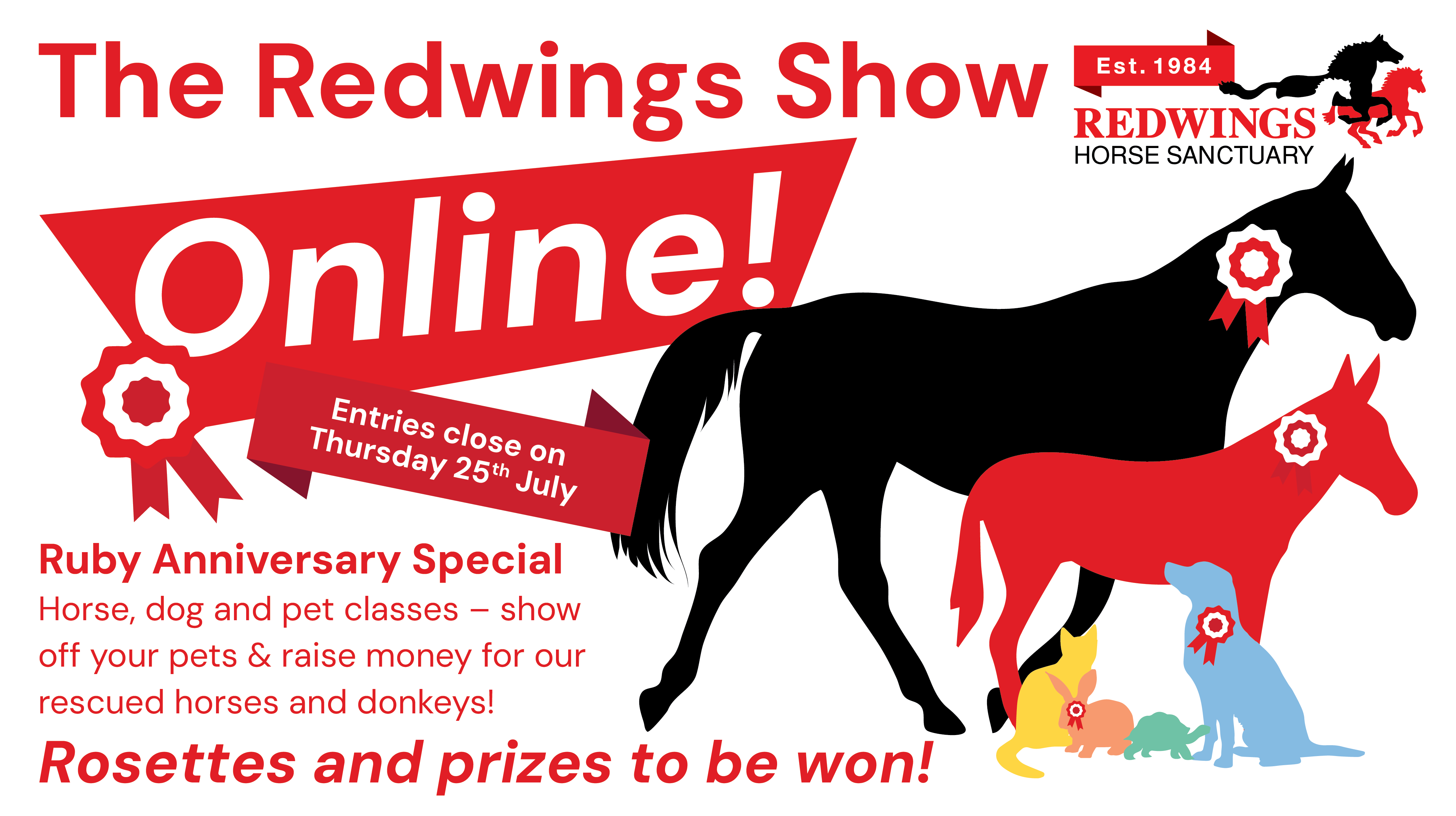 It's time for the Redwings Online Show! | Redwings Horse Sanctuary